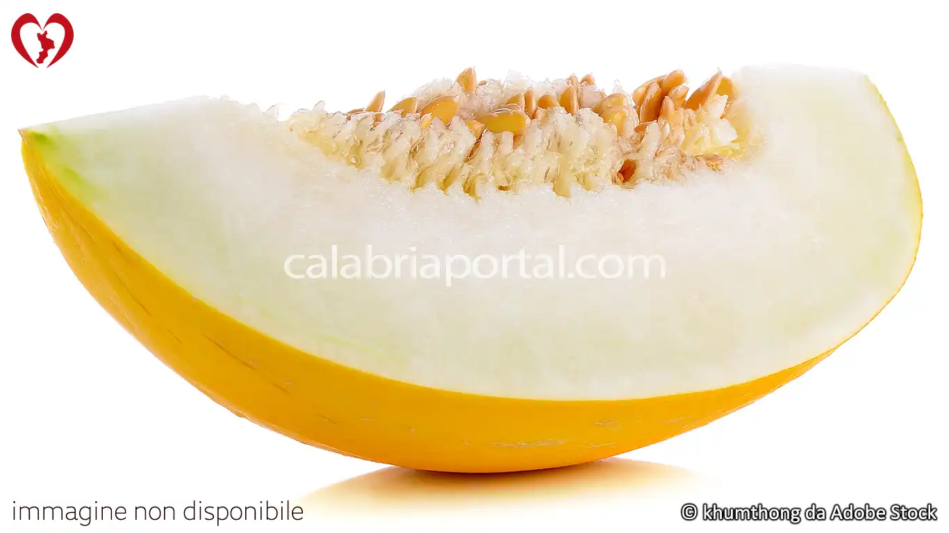 Melone Giallo di Cosenza: il gialletto invernale calabrese