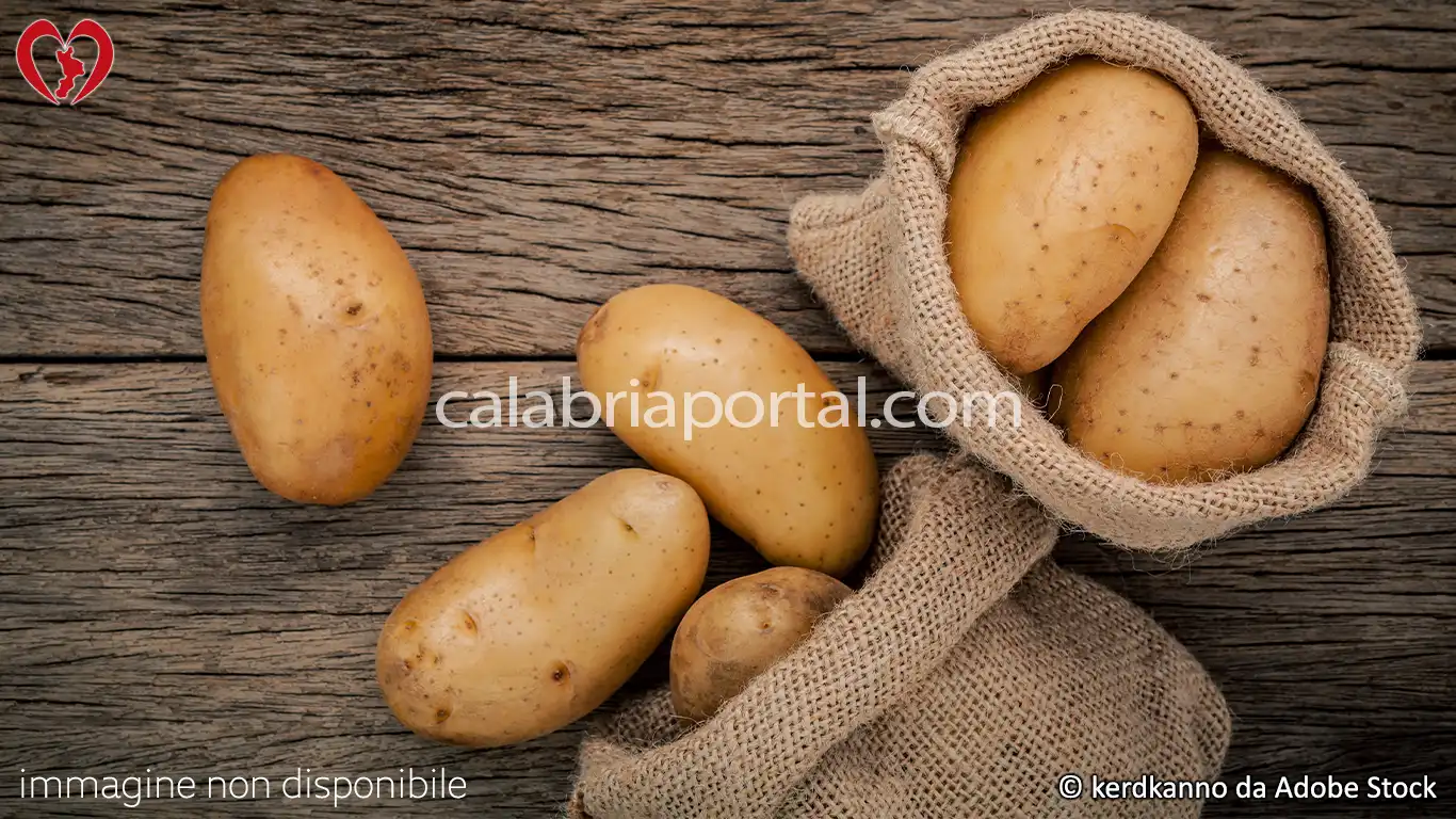 Patate della Sila (Calabria): varietà di patate calabresi