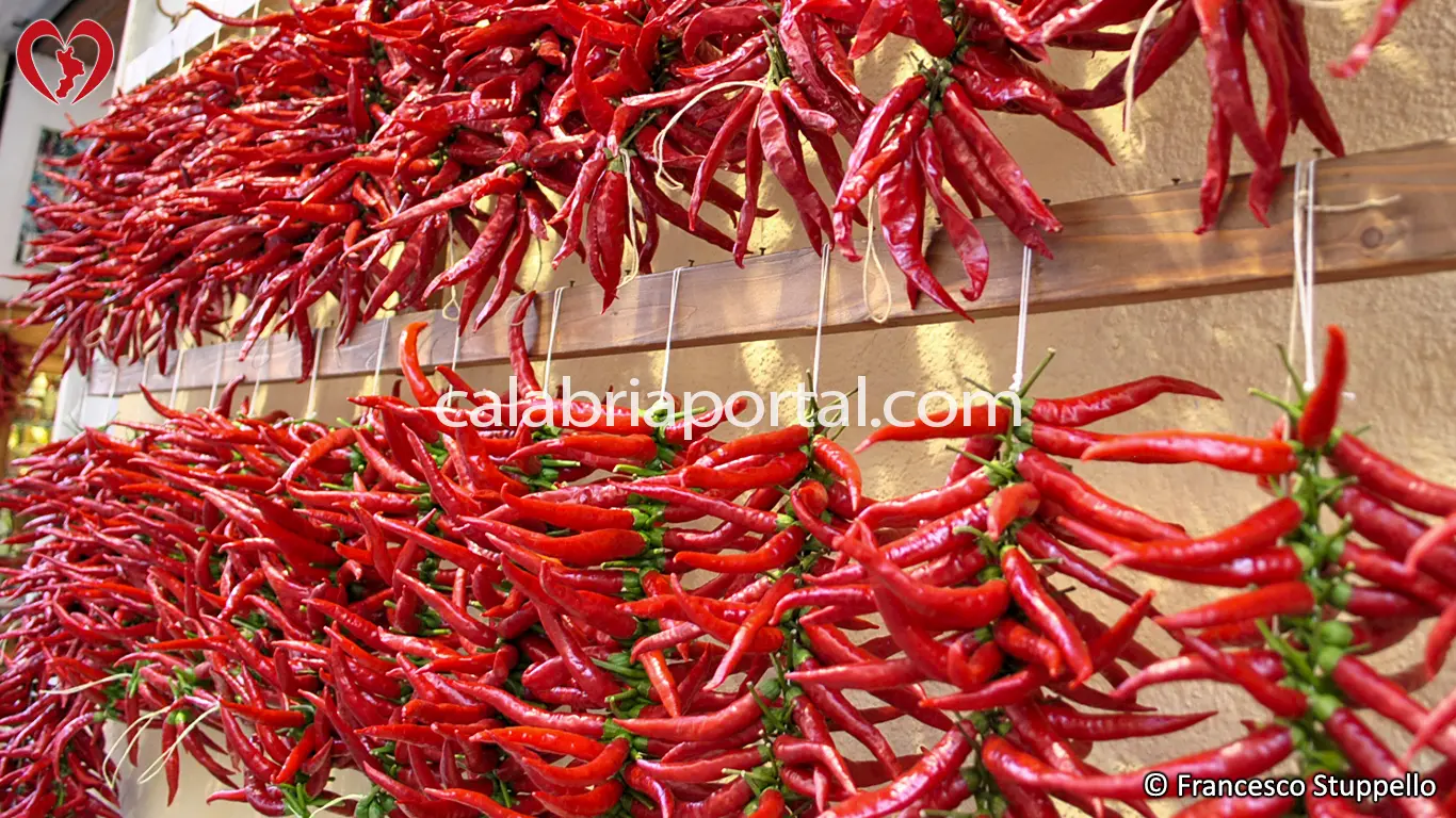 Peperoncino Calabrese: tutte le varietà della Calabria
