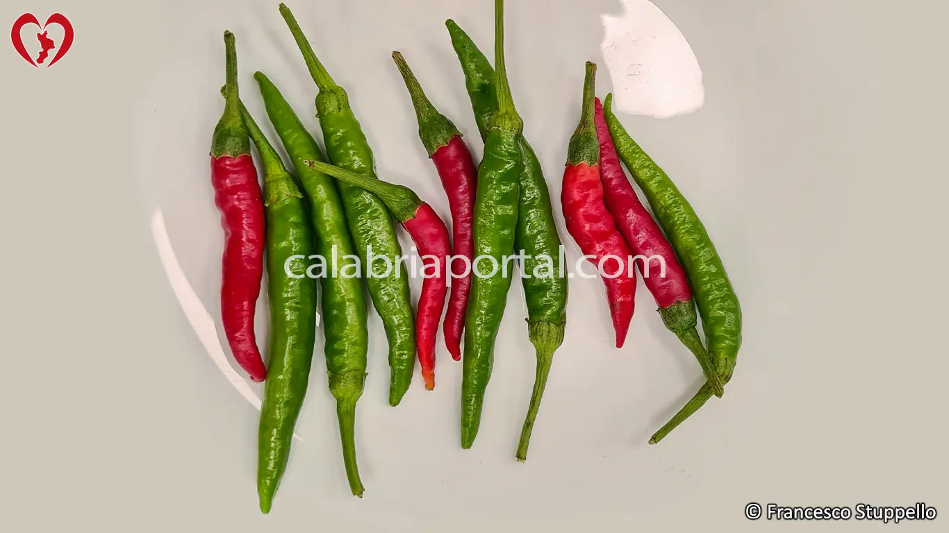 Peperoncino Calabrese: tutte le varietà della Calabria
