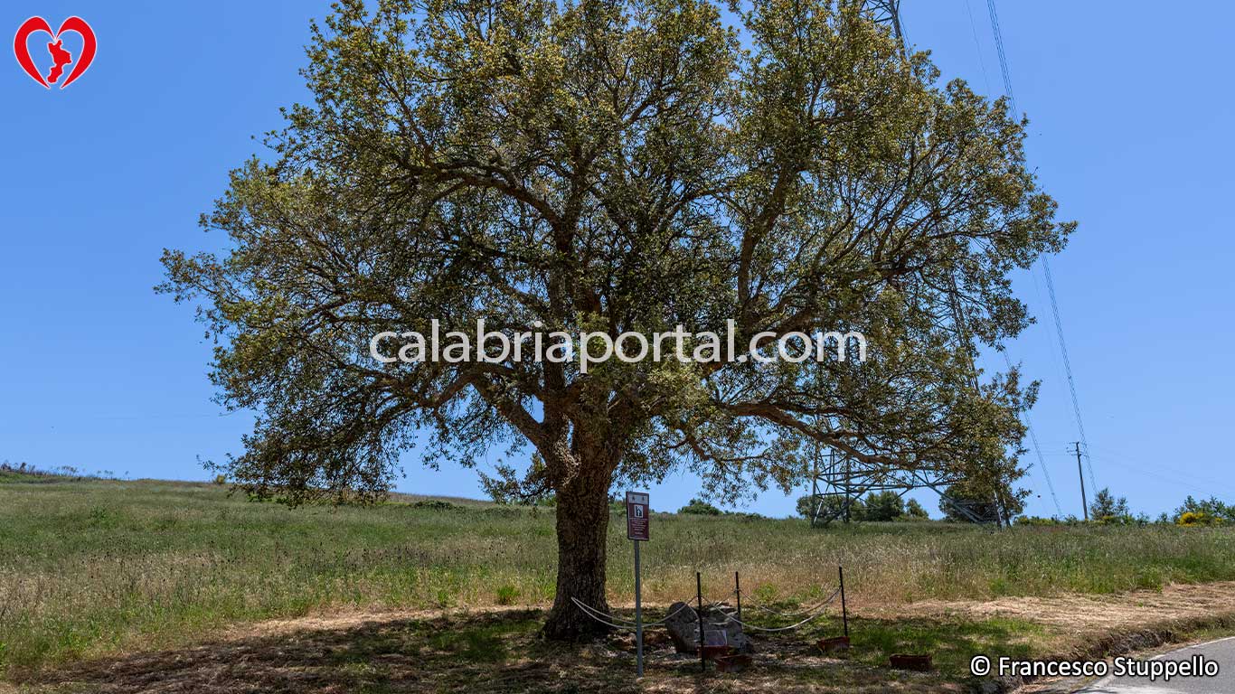 Curinga (Calabria): cosa vedere, fare, turismo