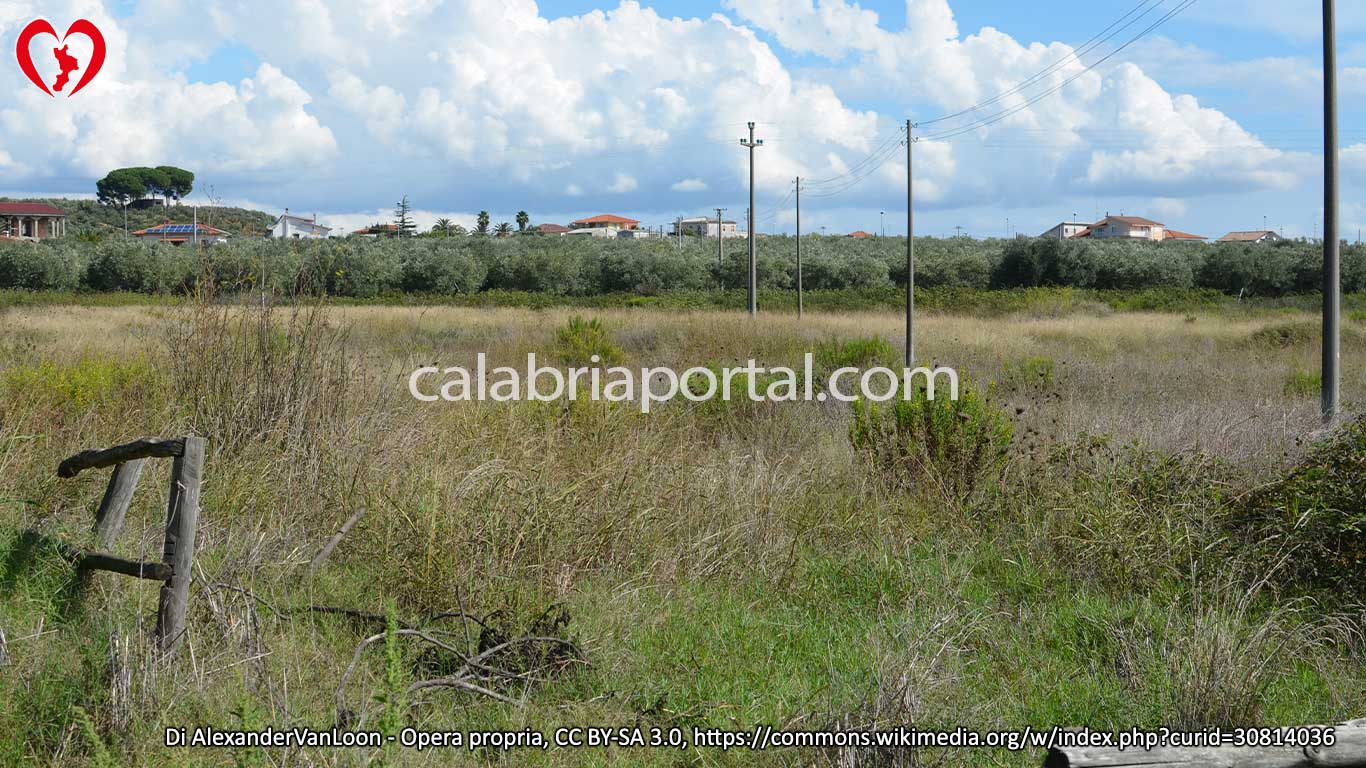 Terina: antica città della Calabria