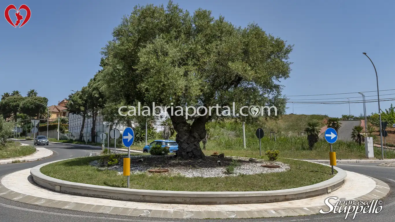 Pianopoli (Calabria): cosa vedere e fare