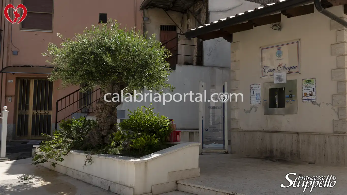 Pianopoli (Calabria): cosa vedere e fare