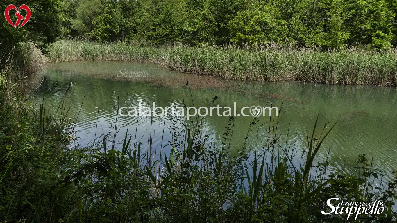 Lago Farneto ad Altomonte (Calabria)