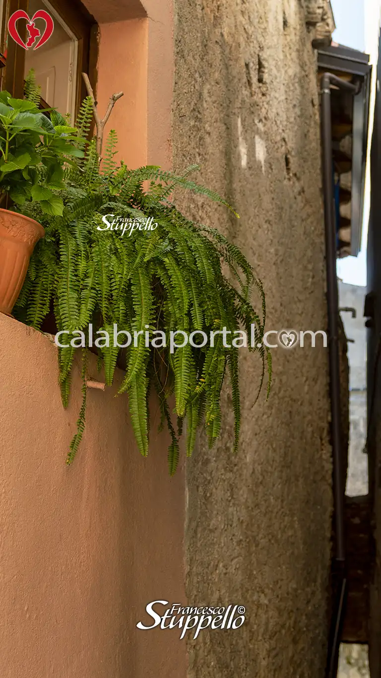 Centro Storico di Bonifati: scorci e vicoli caratteristici