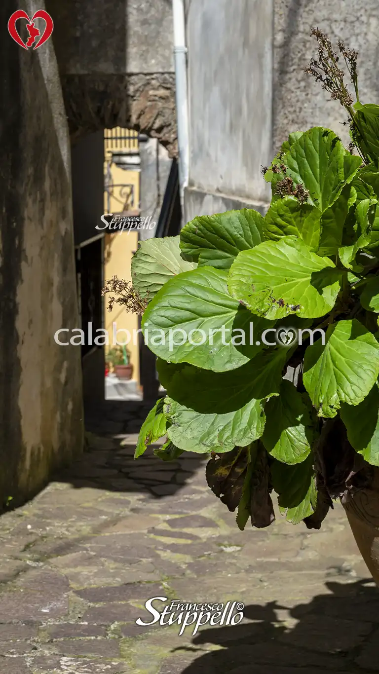 Centro Storico di Bonifati: scorci e vicoli caratteristici
