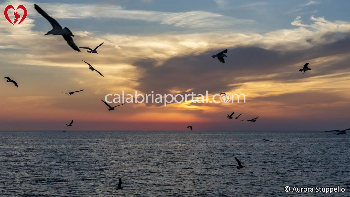 Lungomare di Cetraro Marina