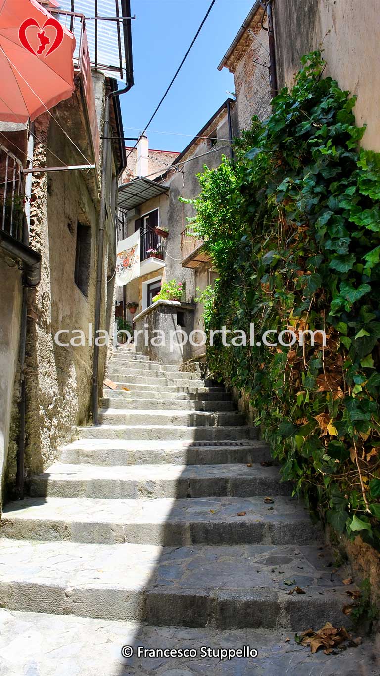 Corte di Aprigliano (Calabria): cosa vedere e fare