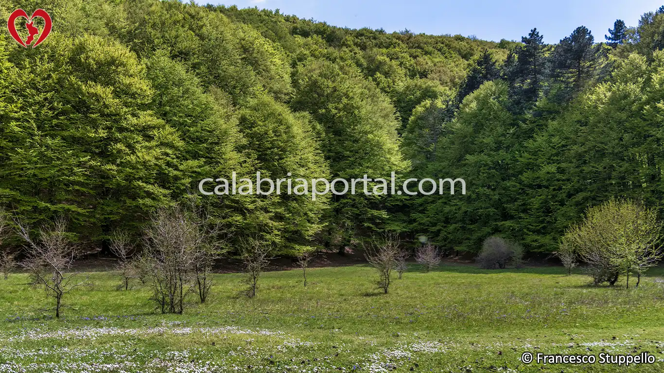 Laghi di Fagnano Castello: i laghi naturali del Monte Caloria