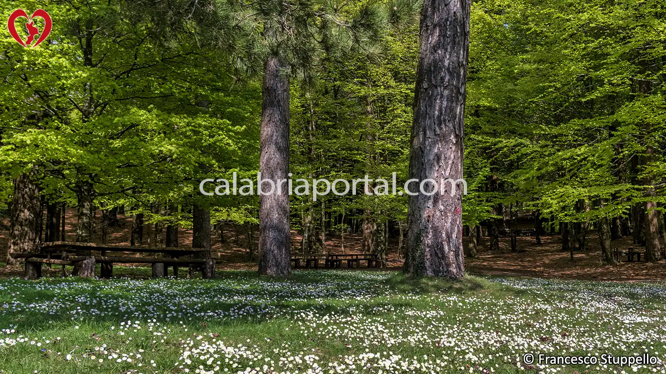 Laghi di Fagnano Castello: i laghi naturali del Monte Caloria