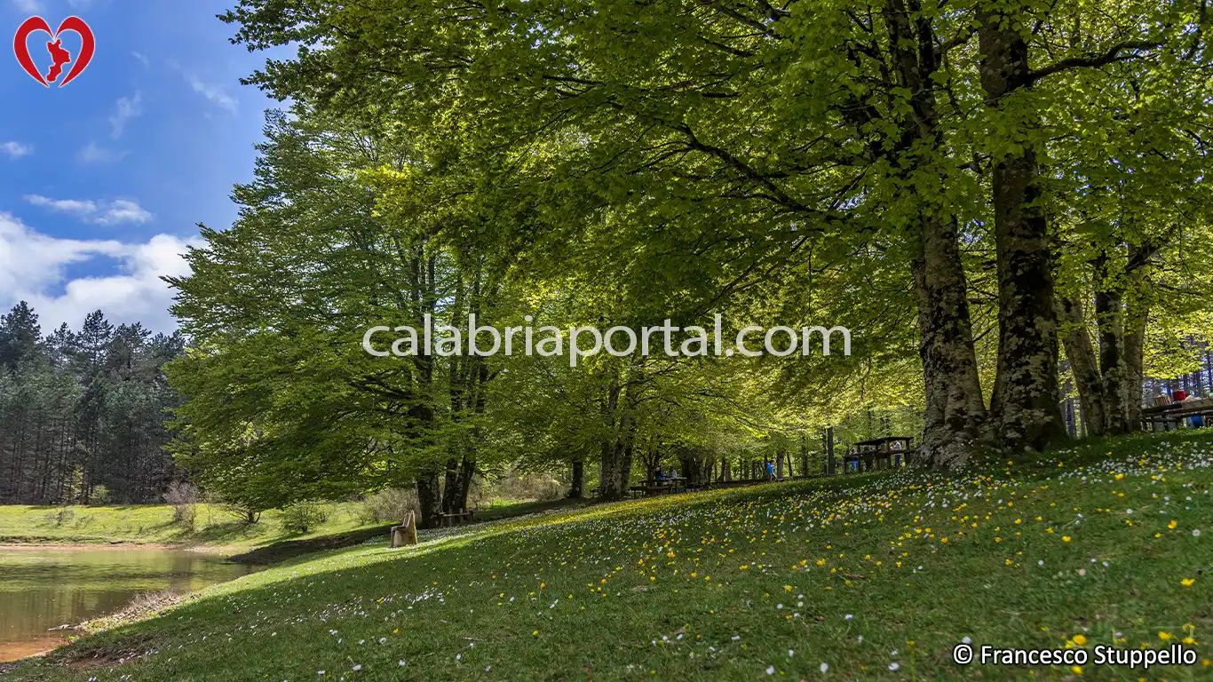 Laghi di Fagnano Castello: i laghi naturali del Monte Caloria