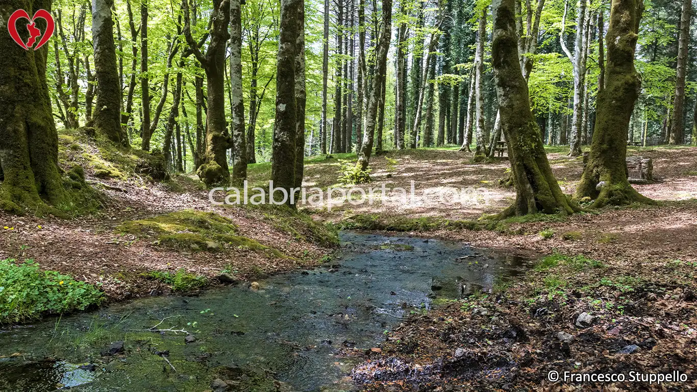 Laghi di Fagnano Castello: i laghi naturali del Monte Caloria
