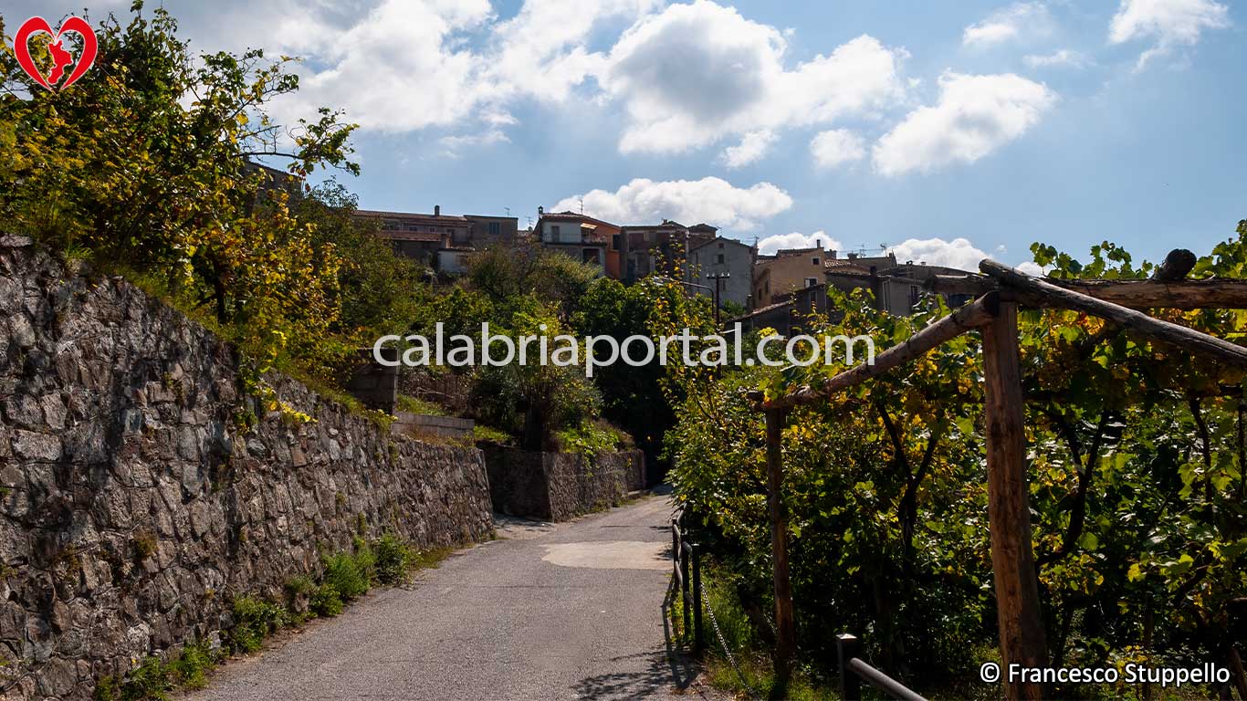 Scigliano (Calabria): cosa vedere, fare, idee di viaggio