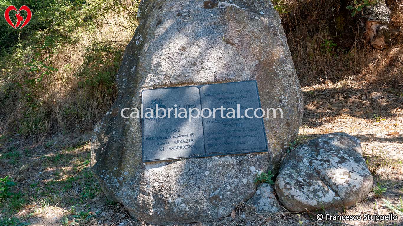 Luzzi (Calabria): cosa vedere, fare, idee di viaggio