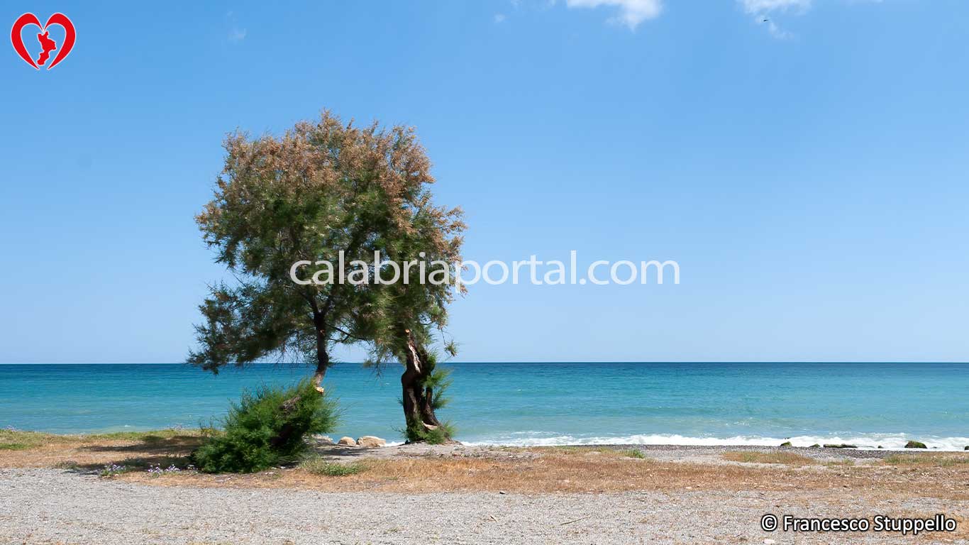 Mirto (Calabria): cose vedere, fare, turismo