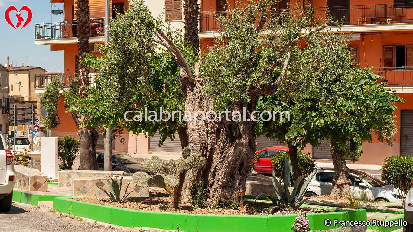 Mirto (Calabria): cose vedere, fare, turismo