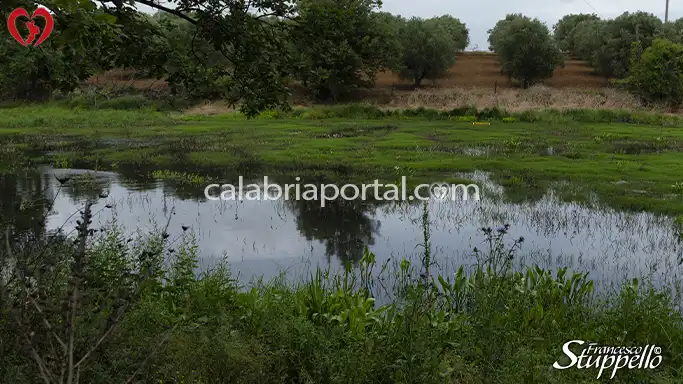 Laghi della Calabria: i siti lacustri del territorio calabrese