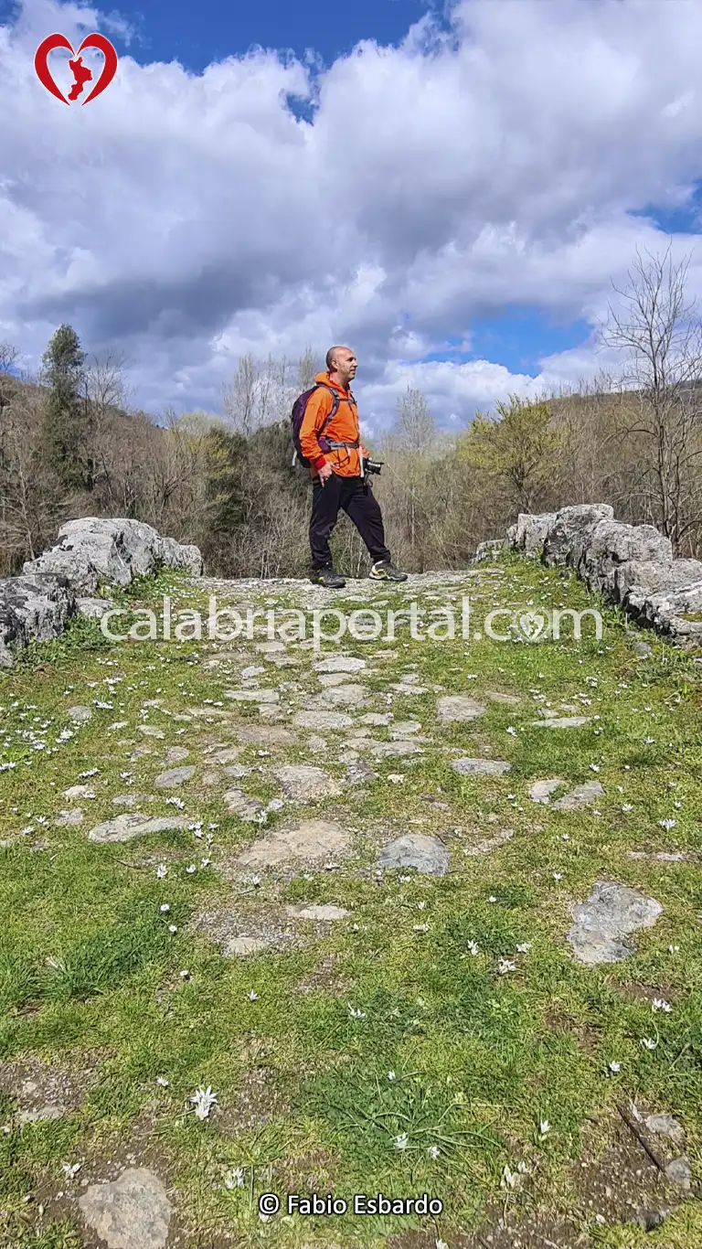 Ponte Romano di Annibale tra Altilia e Scigliano (Calabria)