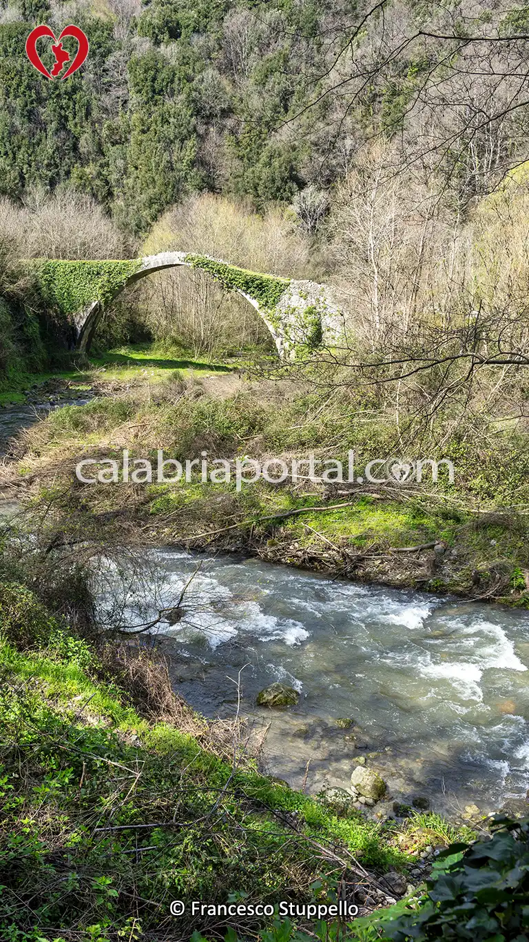 Ponte Romano di Annibale tra Altilia e Scigliano (Calabria)