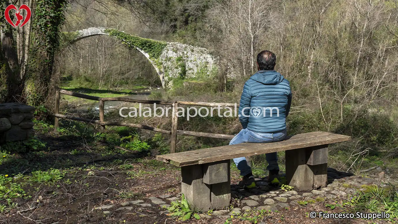 Ponte Romano di Annibale tra Altilia e Scigliano (Calabria)