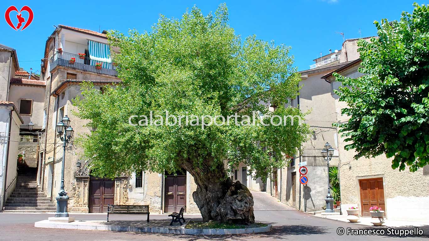 Serra Pedace (Calabria): cosa vedere, fare, idee di viaggio
