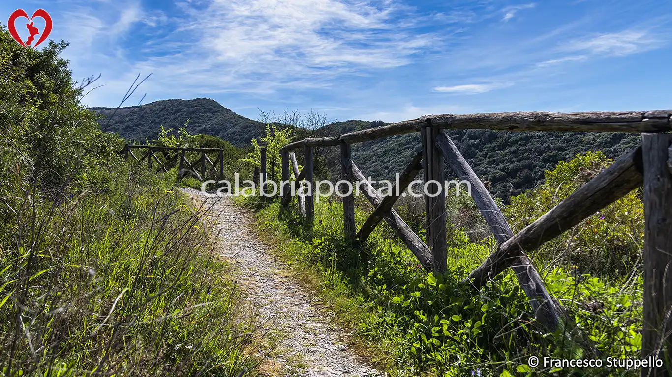 Lago e Riserva Naturale di Tarsia (Calabria)