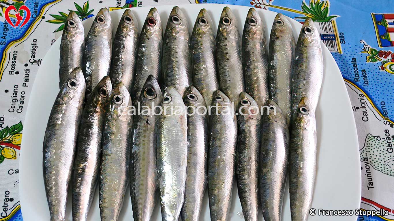 Sarde Scattiate: la ricetta originale calabrese