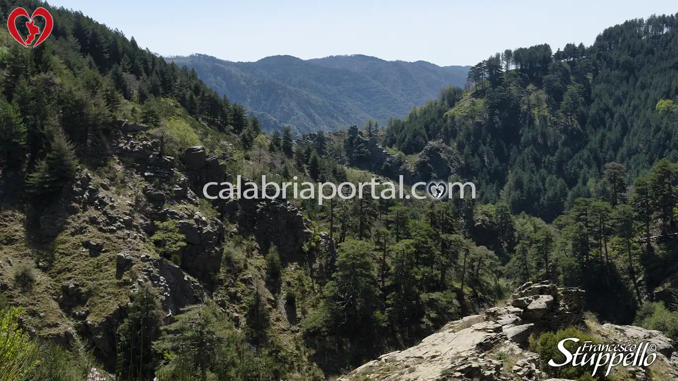 Aspromonte (Calabria): cosa vedere, fare, turismo