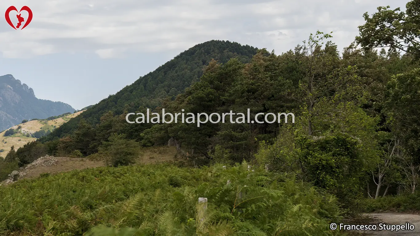 Monte La Penna (Calabria): cosa vedere, fare, turismo