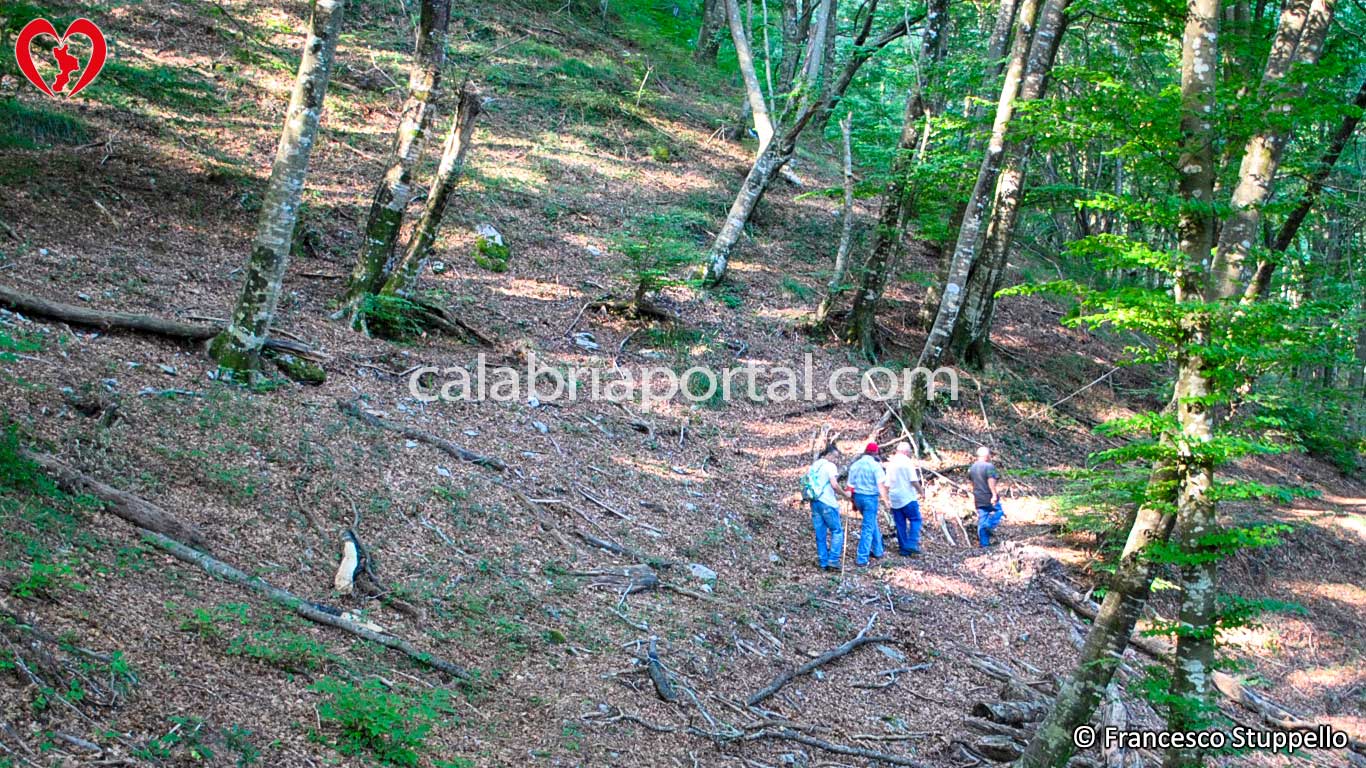 Monte Calimaro (Calabria): cosa vedere, fare, turismo