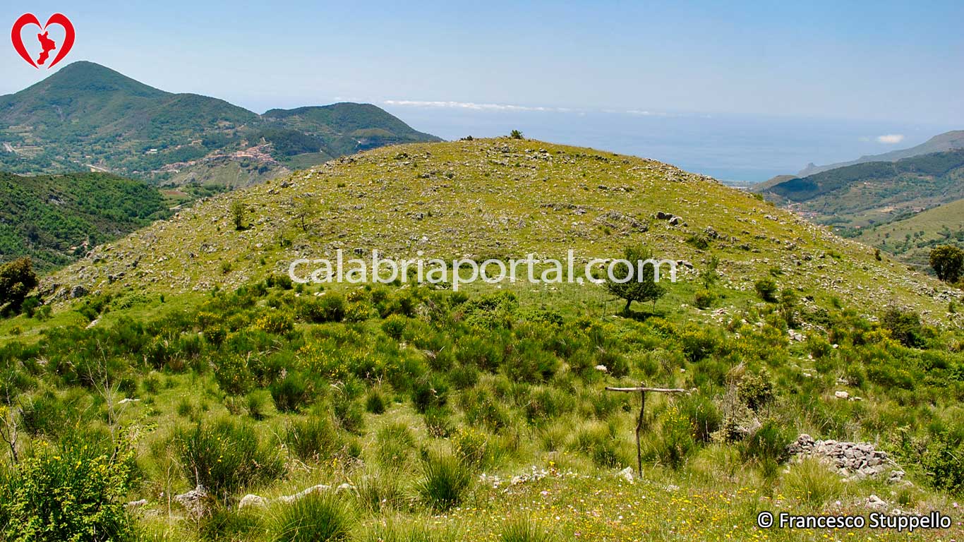 Monte Calimaro (Calabria): cosa vedere, fare, turismo