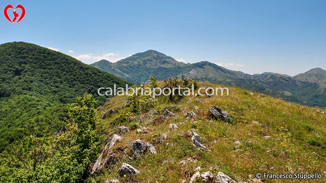 Monte Calimaro (Calabria): cosa vedere, fare, turismo