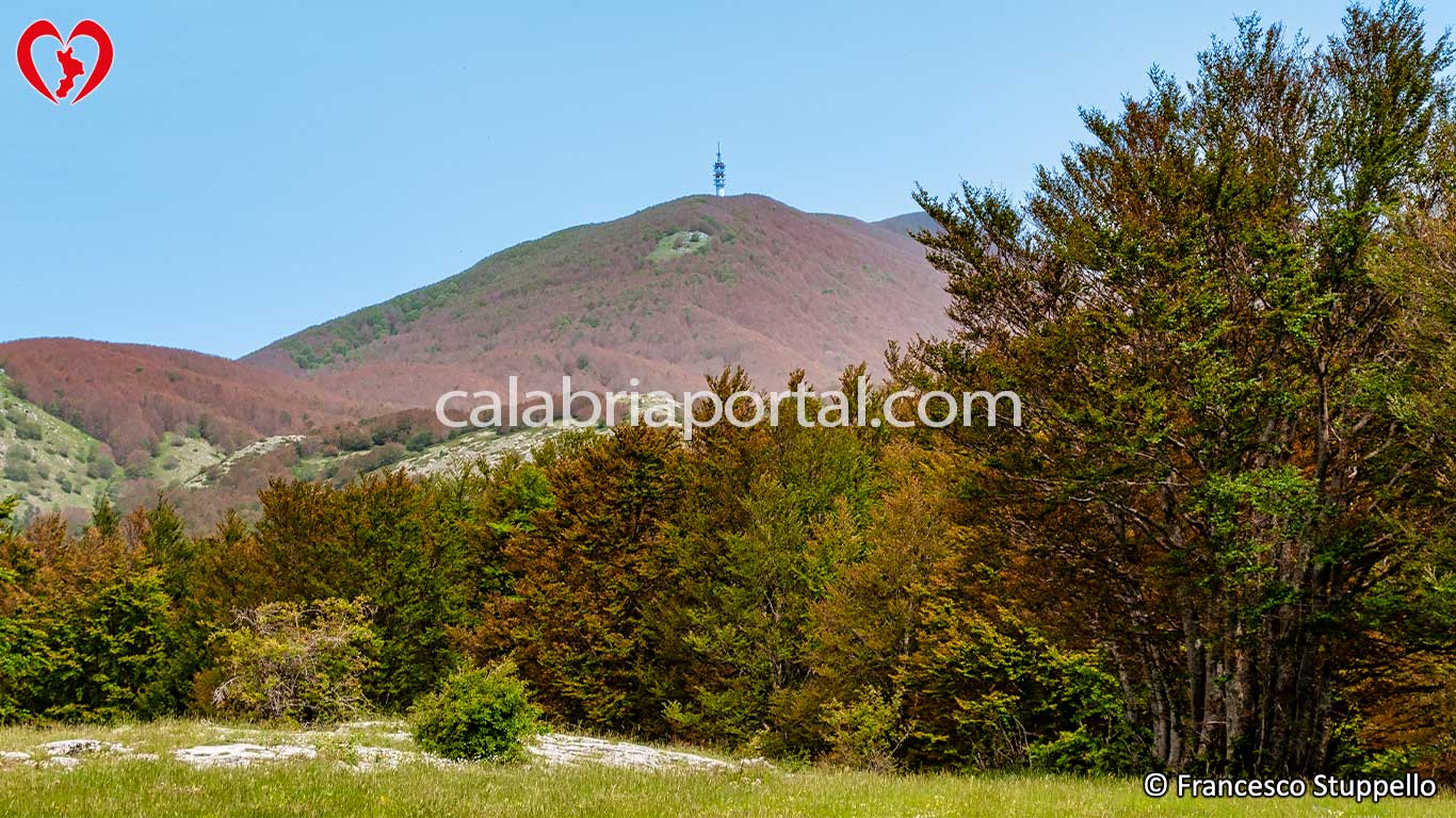 Timpone della Magara (Calabria): cosa vedere, fare, turismo