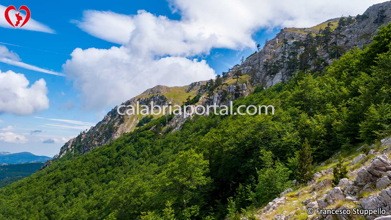 Monte Pollino: cosa vedere, fare, turismo