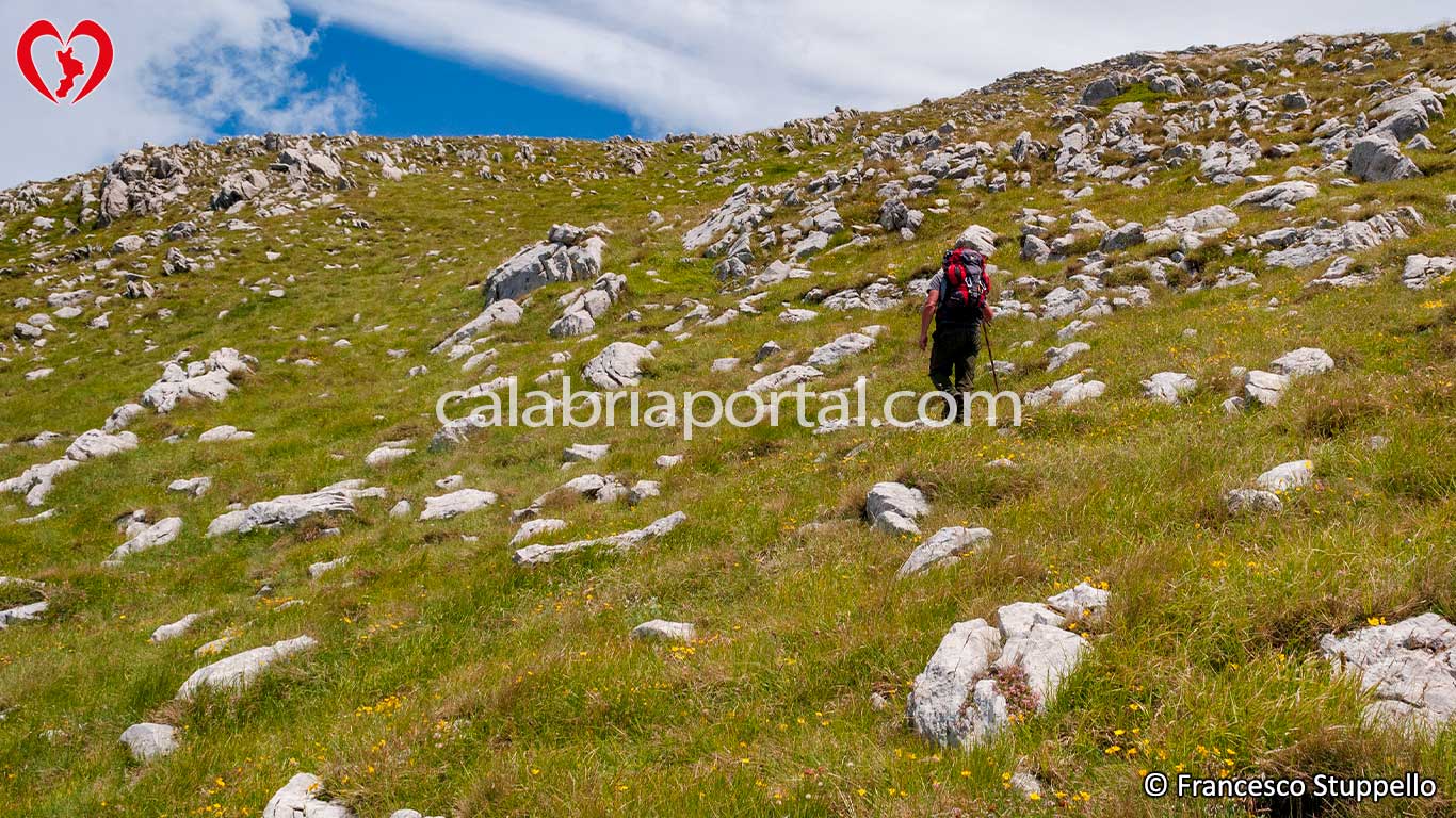 Monte Pollino: cosa vedere, fare, turismo