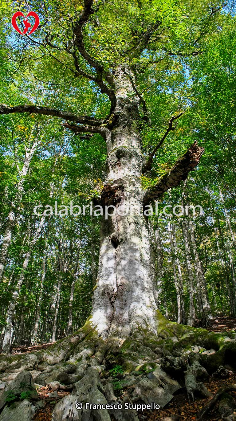 Monte Serra del Prete: cosa vedere, fare, turismo
