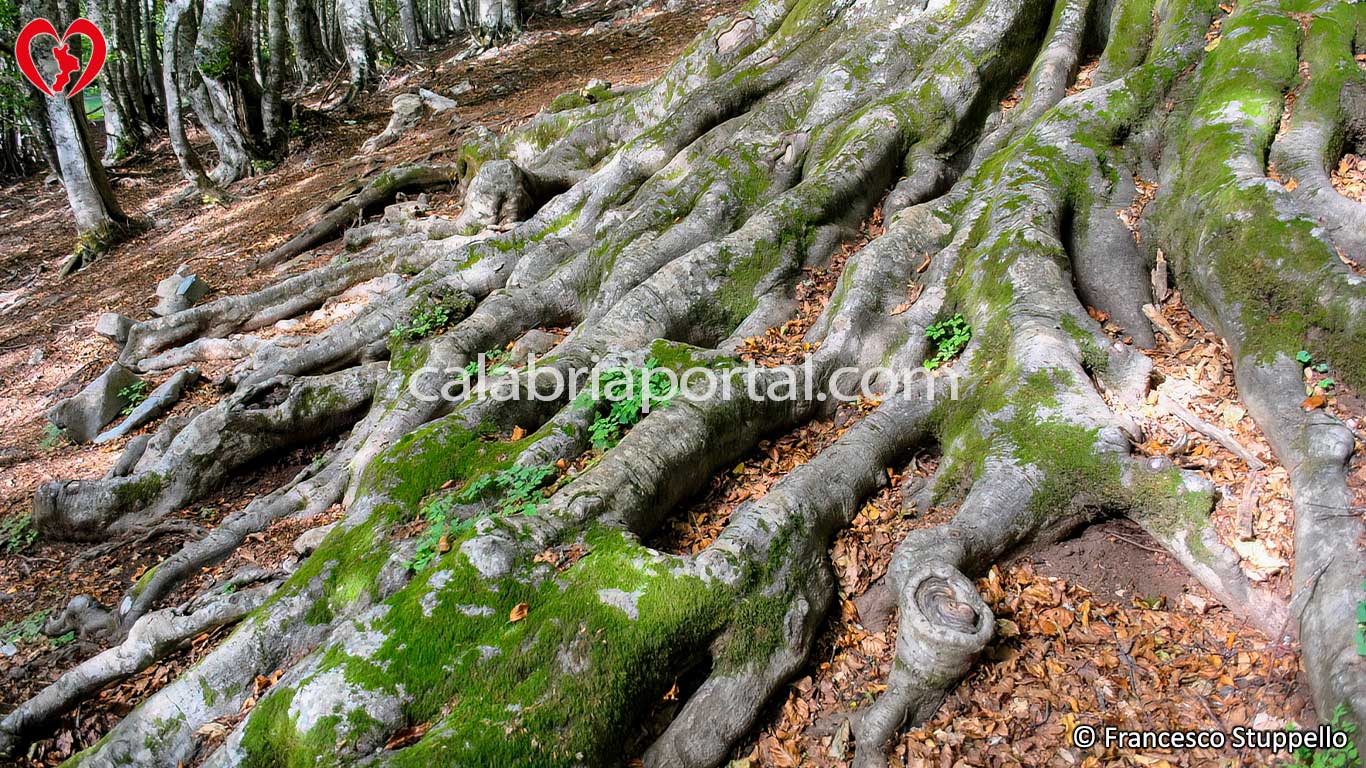 Monte Serra del Prete: cosa vedere, fare, turismo