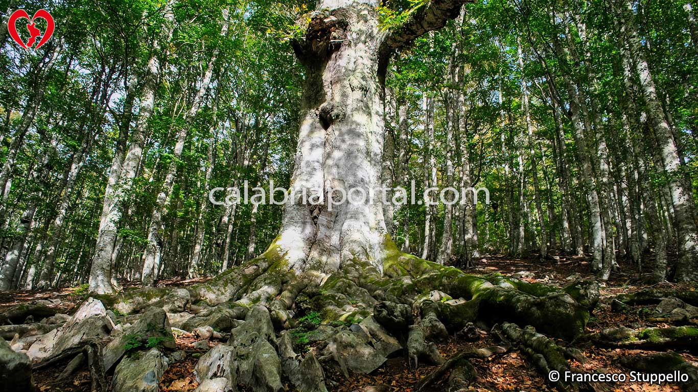 Monte Serra del Prete: cosa vedere, fare, turismo