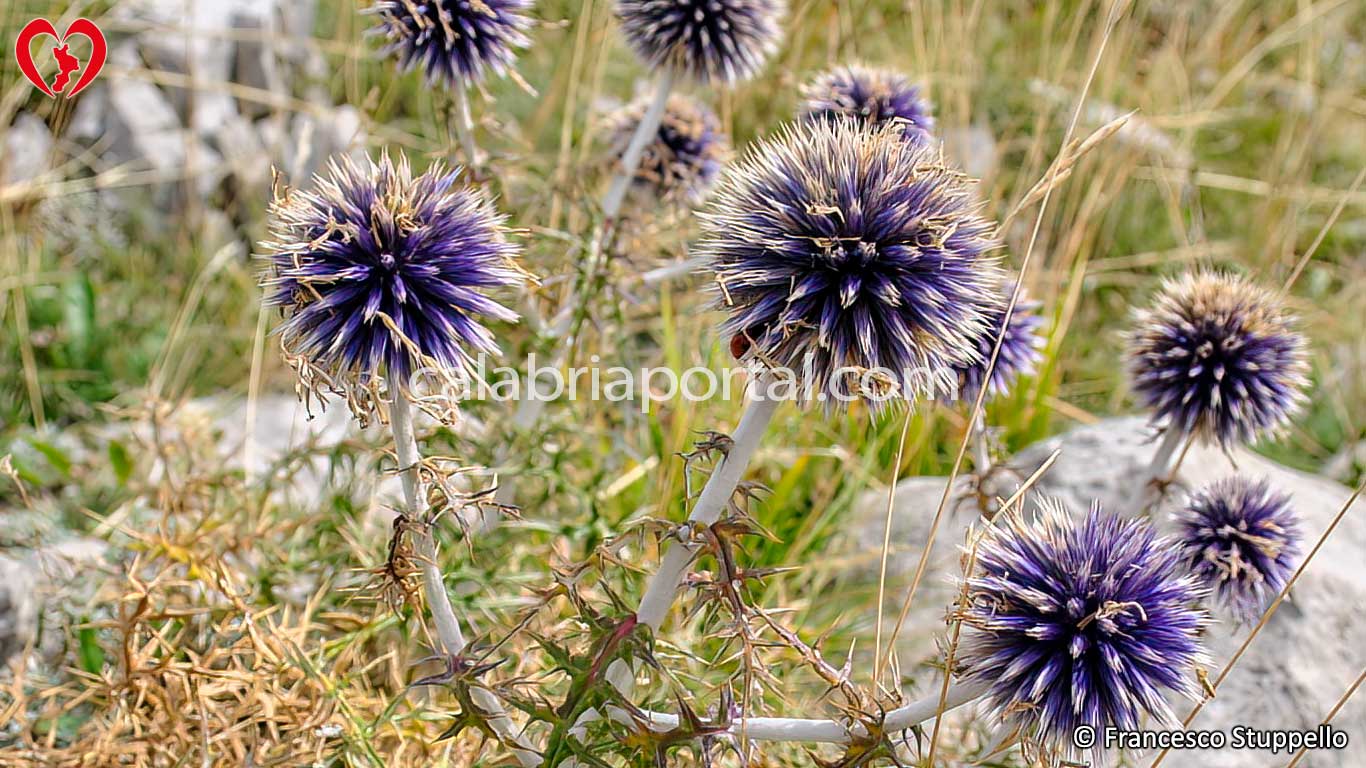 Monte Serra del Prete: cosa vedere, fare, turismo