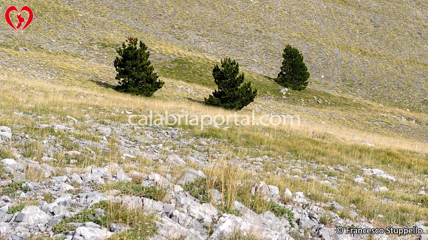 Monte Serra del Prete: cosa vedere, fare, turismo