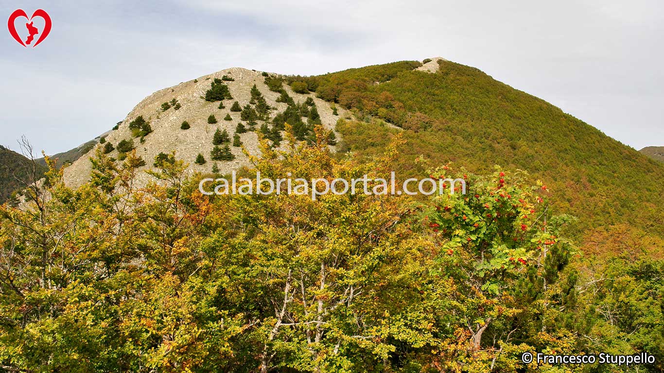 Timpone della Capanna: cosa vedere, fare, turismo