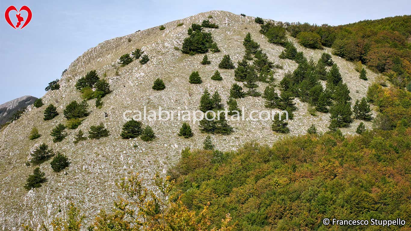 Timpone della Capanna: cosa vedere, fare, turismo