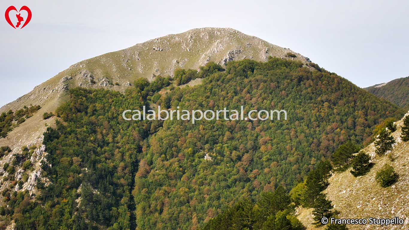 Timpone di Viggianello: cosa vedere, fare, turismo