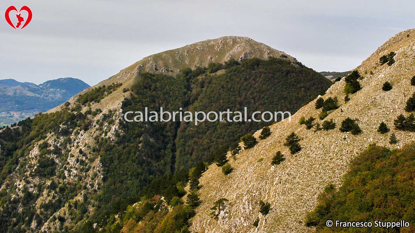 Timpone di Viggianello: cosa vedere, fare, turismo