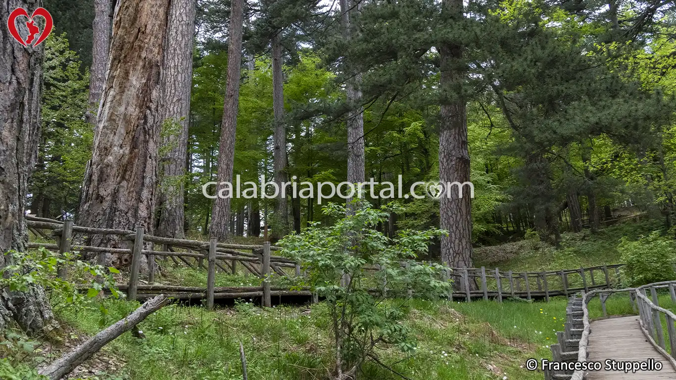 La Sila (Calabria): cosa vedere, fare, turismo