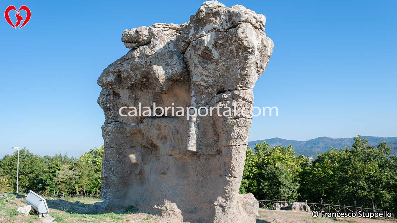 Animali del Passato: le specie estinte della fauna calabrese