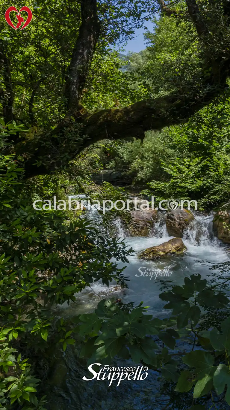Fiume Argentino (Calabria): la Natura dell'Orsomarso