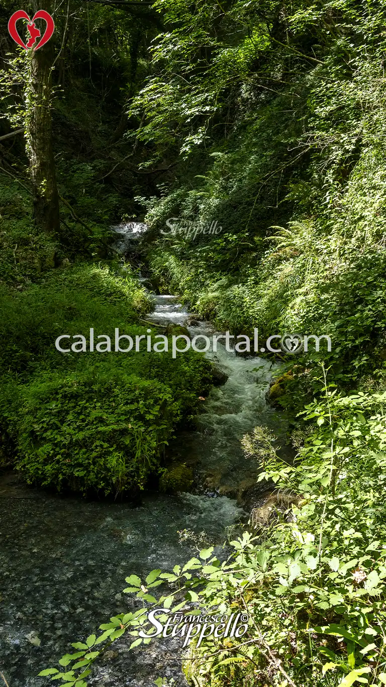 Fiume Argentino (Calabria): la Natura dell'Orsomarso