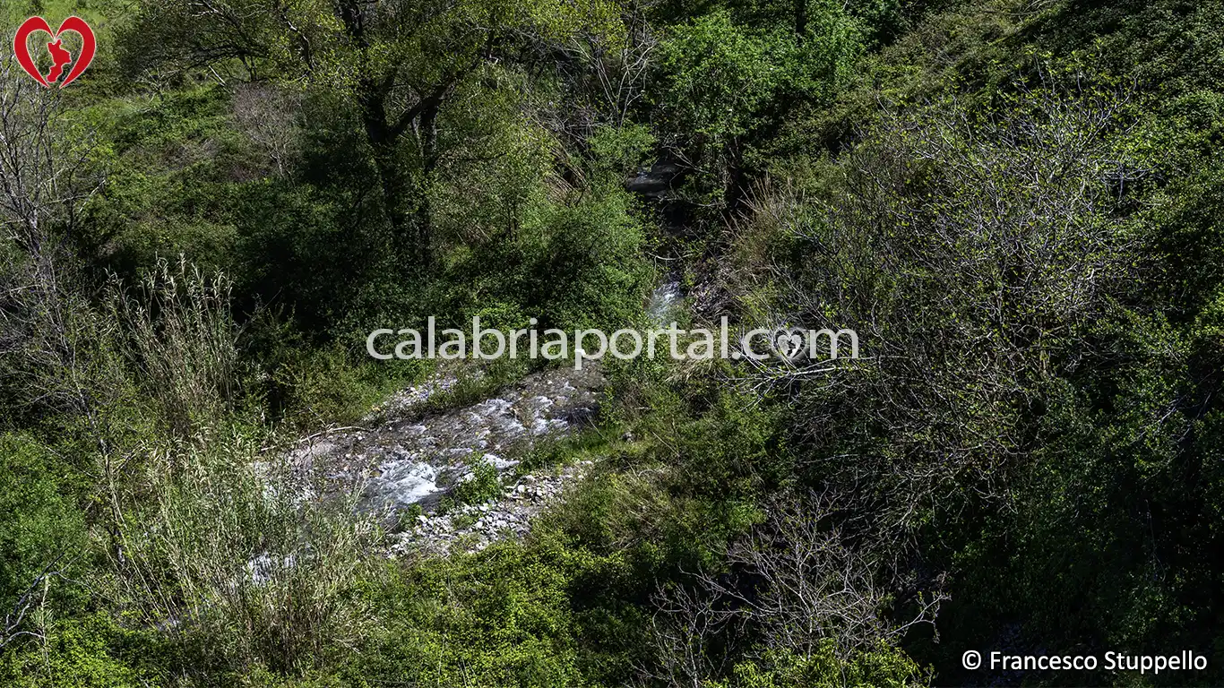 Torrente Sangineto (Calabria): natura e sentieri da sogno